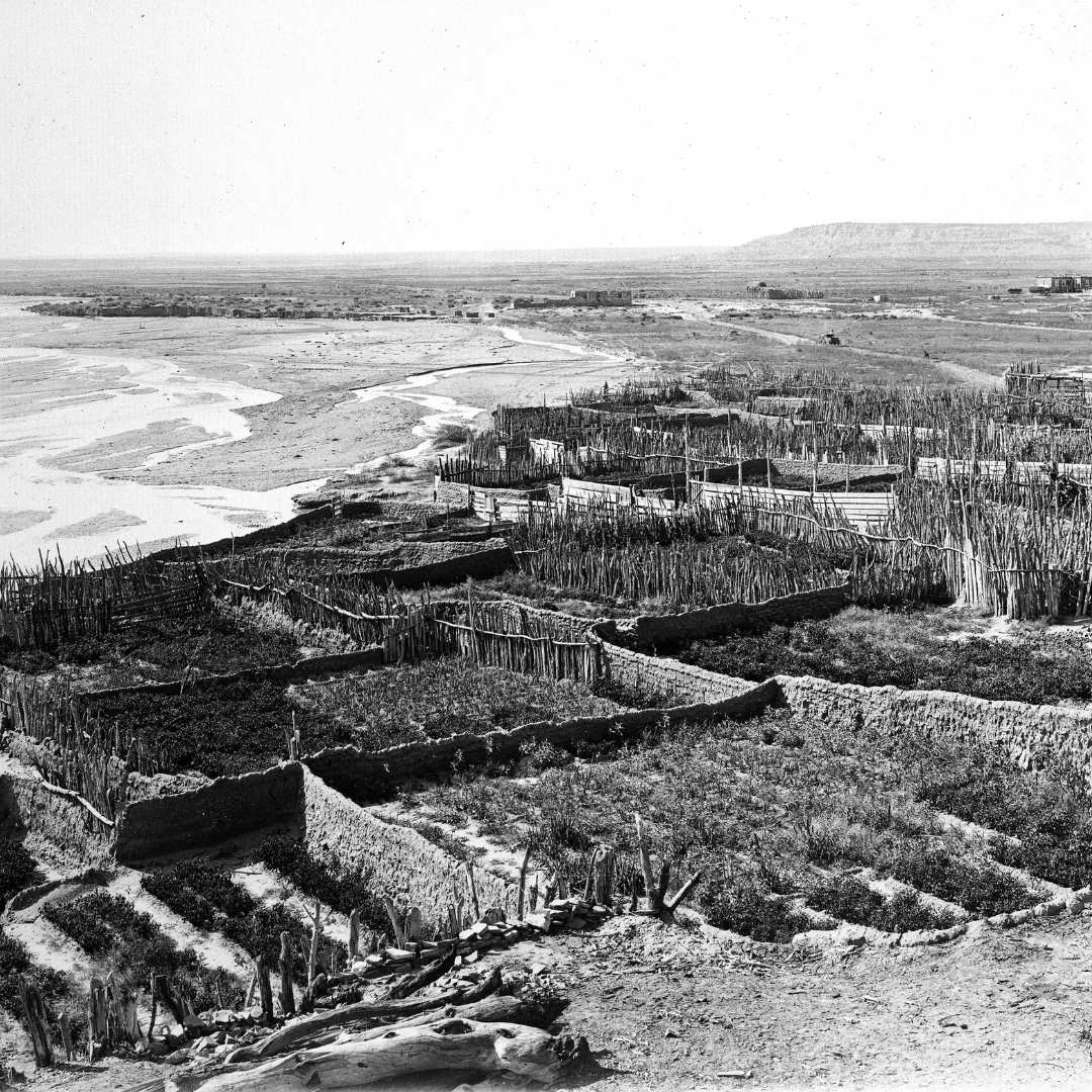 2022 Climate Talks | GGSA